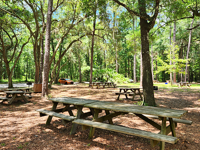 Shaded picnic tables await &ndash; because exploring 120-foot sinkholes works up an appetite that beach snacks just can't satisfy.