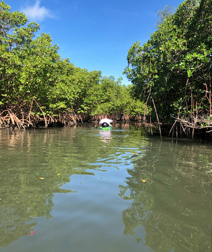 Hidden mangrove tunnels invite kayakers into Florida's verdant waterways. Like Venice's canals, but with alligators instead of gondoliers.