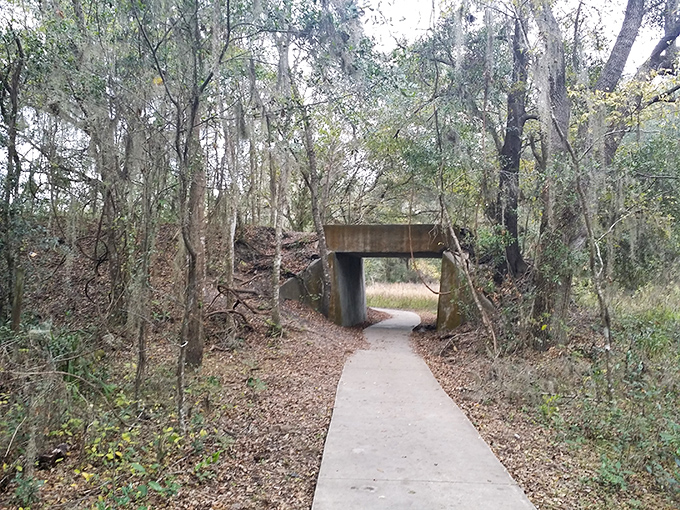 This unassuming underpass marks the transition between worlds &ndash; from everyday Florida into a wild realm of natural wonders.