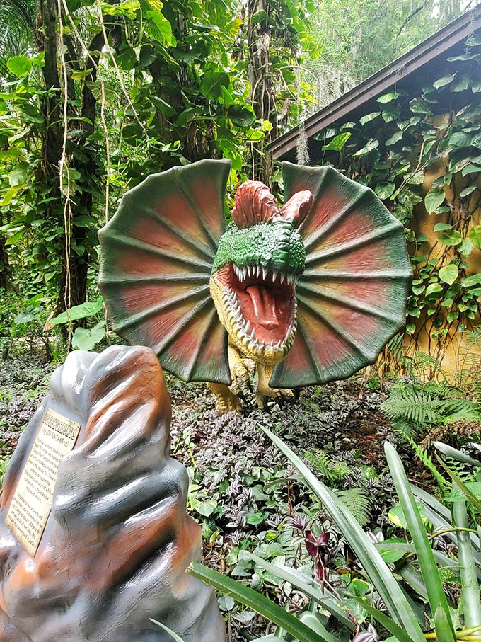 The Dilophosaurus shows off its colorful frill – nature's first attempt at a fashion statement that says "I'm toxic, but stylish."