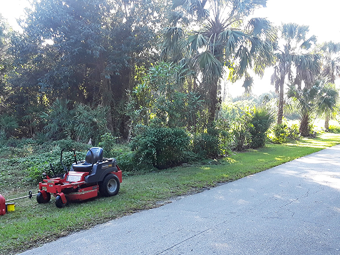 Even Eden needs a gardener; local landscapers work diligently to preserve this natural wonder for future generations.