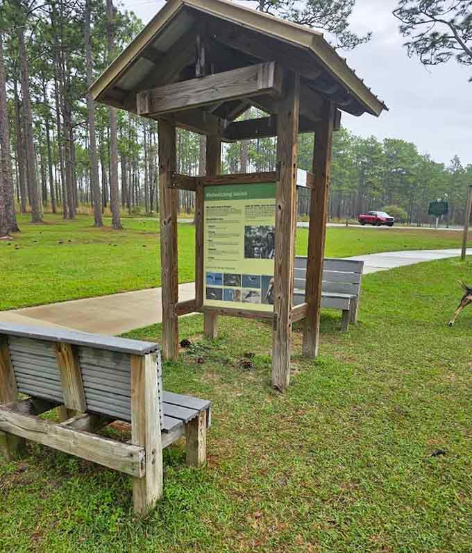 This bench offers front-row seating to nature's show, no ticket required, no overpriced concessions, just you and the view having a moment.