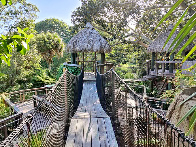 This rope bridge promises just enough adventure to feel daring without requiring an insurance waiver or emergency contact information.