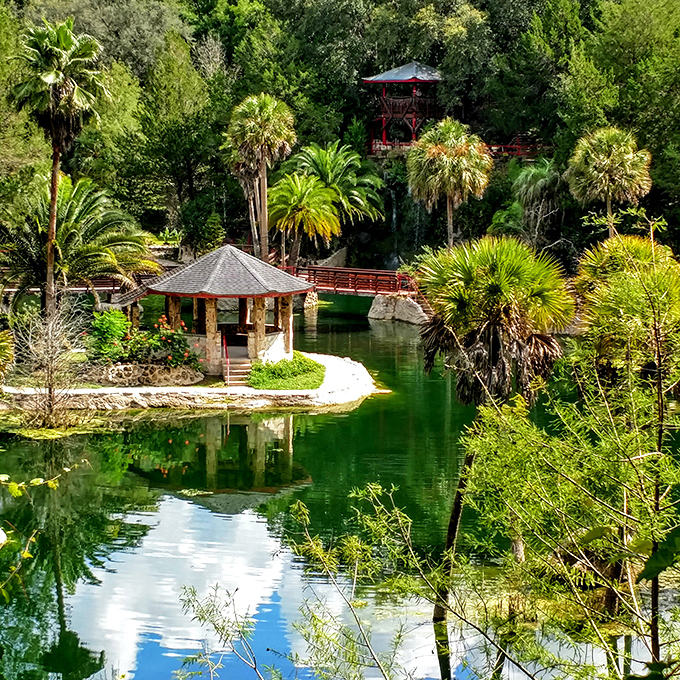 This waterside gazebo isn't just offering shade &ndash; it's providing front-row seats to nature's most spectacular show.