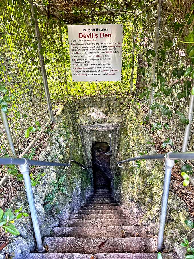 Tight squeeze: The narrow entrance to Devil's Den adds to the sense of discovery as visitors enter the underworld.