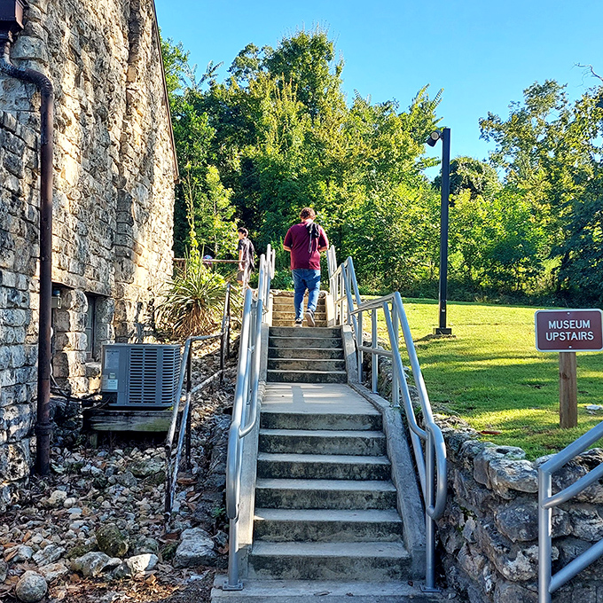 Steps lead upward to the museum, where the underground story continues with fascinating exhibits about Florida's geological history.