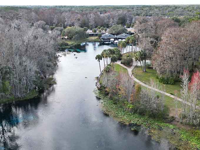 From above, the springs look like someone spilled turquoise paint across the landscape, except this masterpiece took thousands of years to create.