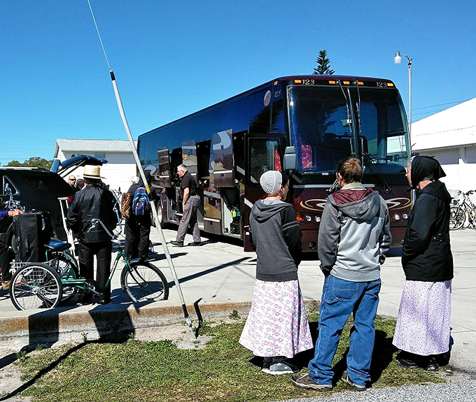 The bus arrival scene resembles a joyful family reunion as winter visitors reconnect with friends after months apart.