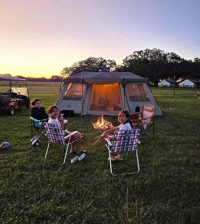 Evening campfires bring out the storyteller in everyone, creating memories that last longer than the marshmallows and taste twice as sweet.