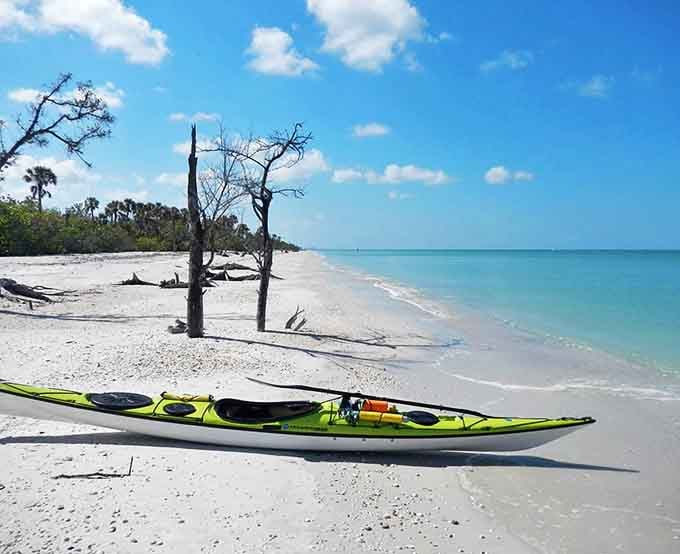 Kayaking along Keewaydin's mangrove-lined shores offers a completely different perspective, where the water turns mirror-smooth and the world gets very quiet.