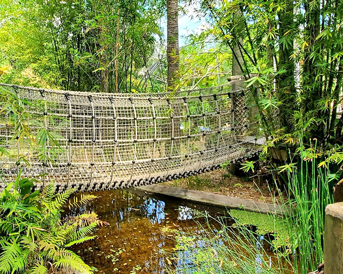 This swinging rope bridge dares visitors to cross, promising adventure and new discoveries on the other side.