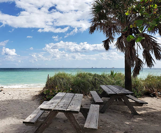 This weathered picnic table has hosted countless sandwiches with a side of sea breeze – the best dining view money doesn't have to buy.