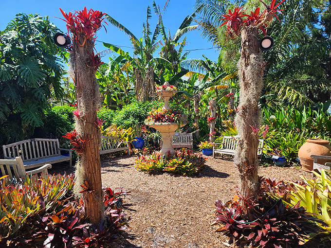 A tropical garden oasis where palm trees stand sentinel over bromeliads. The perfect spot to pretend you're competent at identifying plants.
