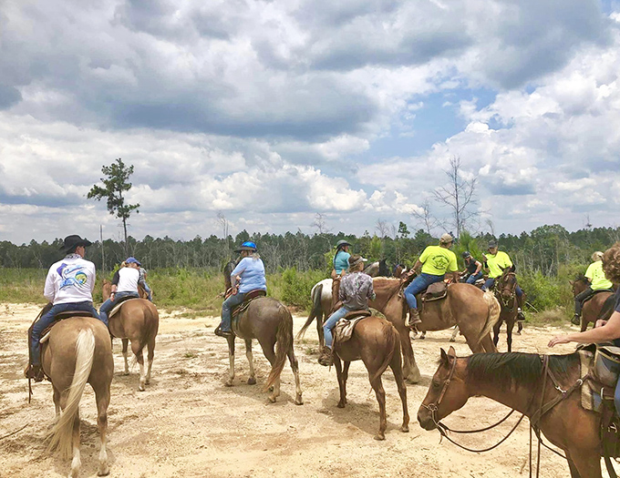 Horseback riding: Explore Florida's natural landscape the way early settlers did&mdash;on horseback through pine forests with glimpses of wildlife.