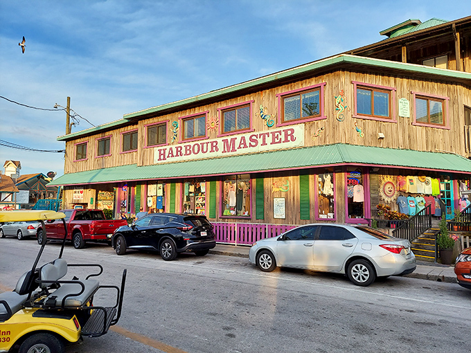 Waterfront walkways where the only traffic jam involves pelicans, offering front-row seats to Cedar Key's daily show.