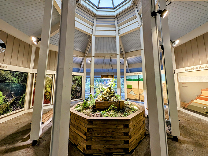 The entrance pavilion: where everyday Florida ends and your geological adventure begins.