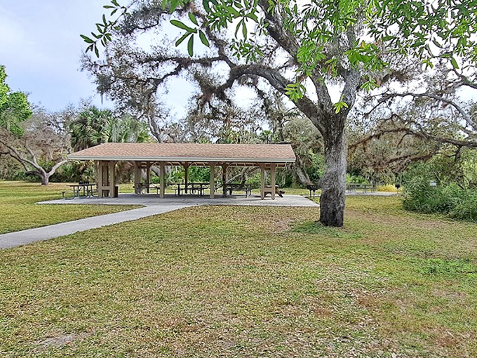 Room with a view: this covered pavilion offers shade and seating for picnics with a side of spectacular Myakka scenery.