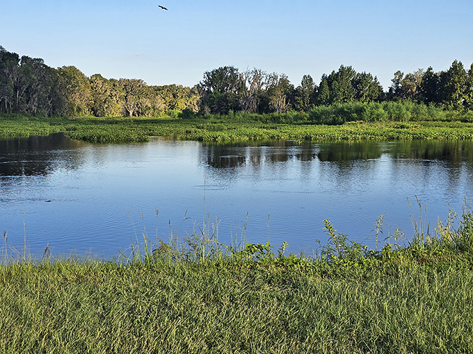 Mirror-like waters reflect cloud-dotted skies, creating a double dose of Florida beauty that changes with each passing moment.