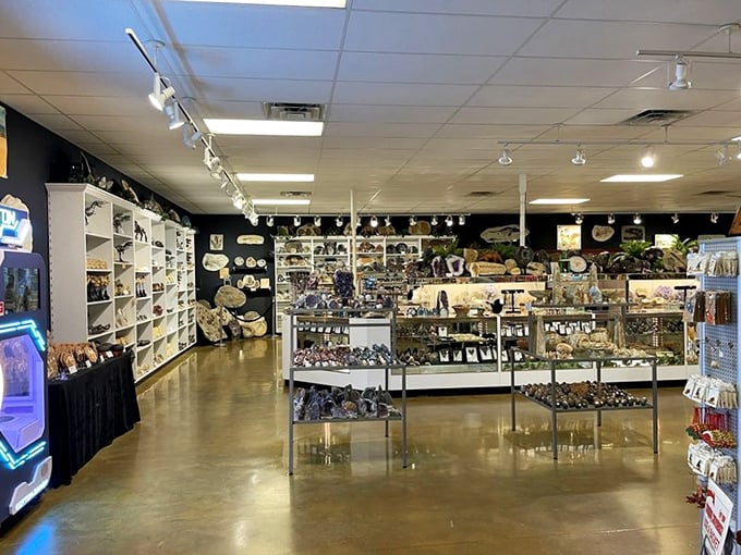 The gift shop – where education meets capitalism and everyone leaves with at least one plastic dinosaur they didn't know they needed.