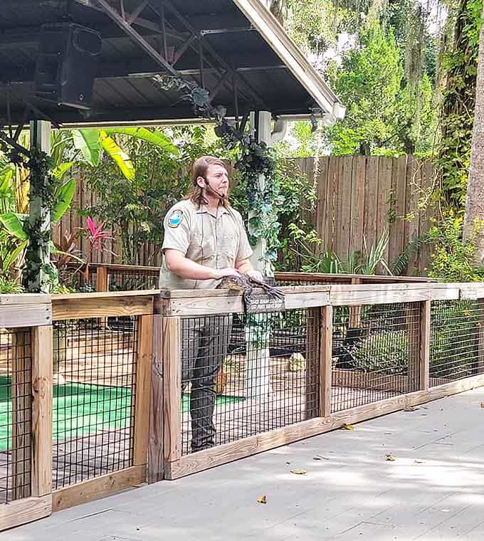 Staff: A park ranger shares his knowledge during a wildlife presentation, turning education into entertainment with the help of Florida's fascinating native creatures.