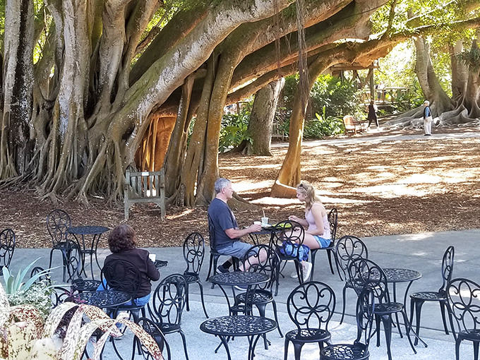 Dining beneath ancient banyan trees&mdash;where the shade is complimentary and the atmosphere rivals any five-star restaurant's carefully designed interior.