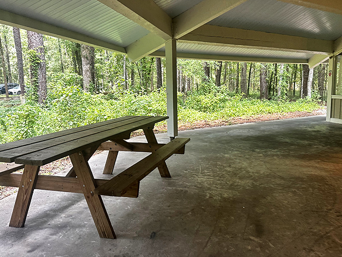 Picnic paradise under dappled sunlight &ndash; the perfect spot to refuel after conquering those 132 steps.