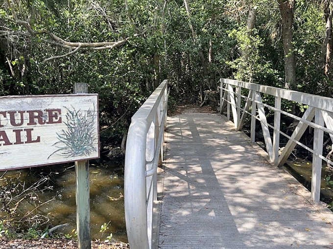 A nature trail invites visitors to experience the Everglades up close, with boardwalks providing safe passage through wetlands.