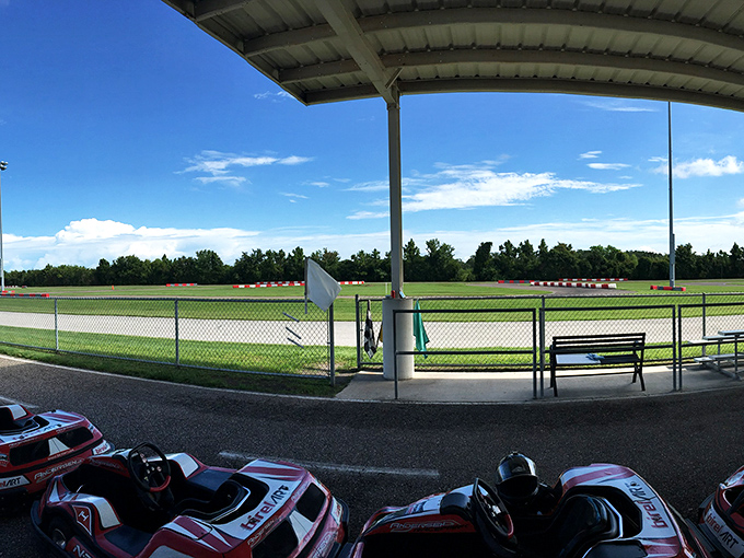 Nature meets speed: Florida sunshine illuminates every twist and turn of this asphalt playground.