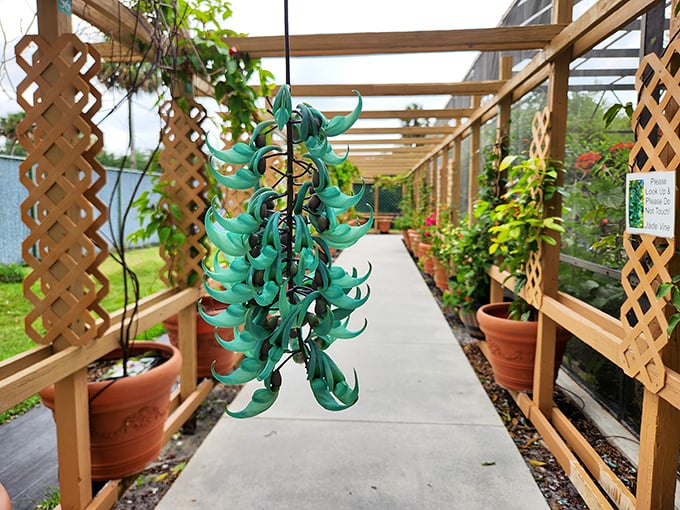 14. pergola walkway