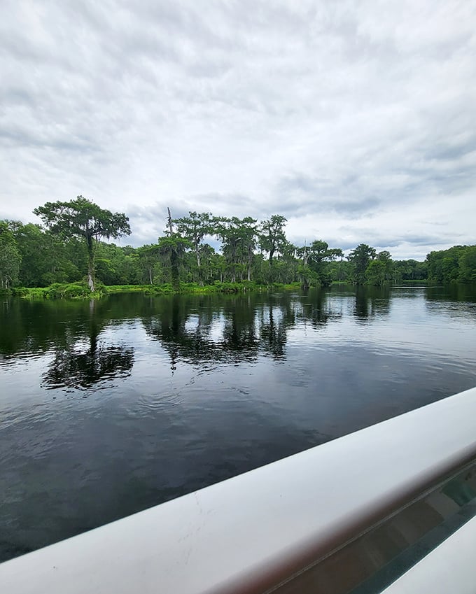 The spring's waters create a mirror world where cypress trees admire their reflections and time seems to stand perfectly still.