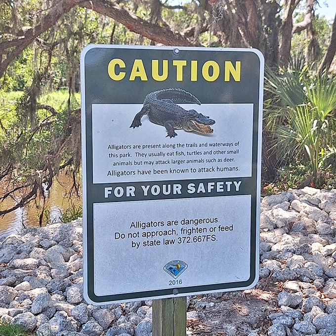 Fair warning: these toothy residents have been living here longer than we have &ndash; respect their space or become a cautionary tale.