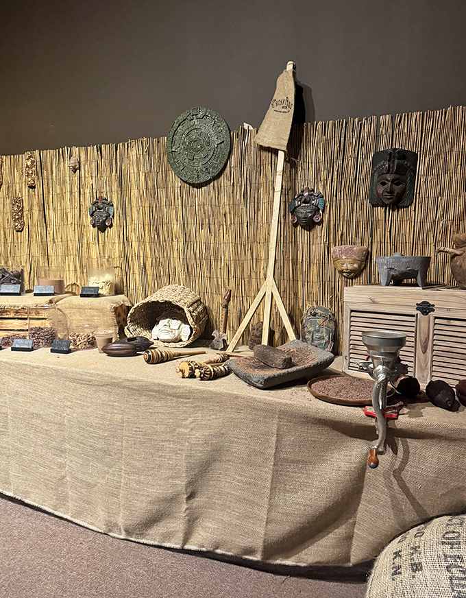 The museum's collection spans cultures and continents, all united by humanity's universal appreciation for chocolate's magic.