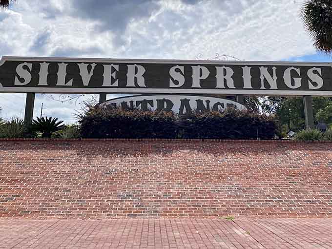 The Silver Springs entrance sign welcomes visitors to one of Florida's oldest attractions, where the main draw hasn't changed in centuries: ridiculously beautiful water.