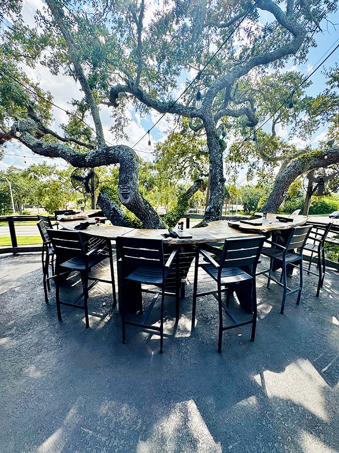 Outdoor seating wraps around ancient oak trees, creating intimate dining spaces where guests can enjoy Florida breezes along with their meals.