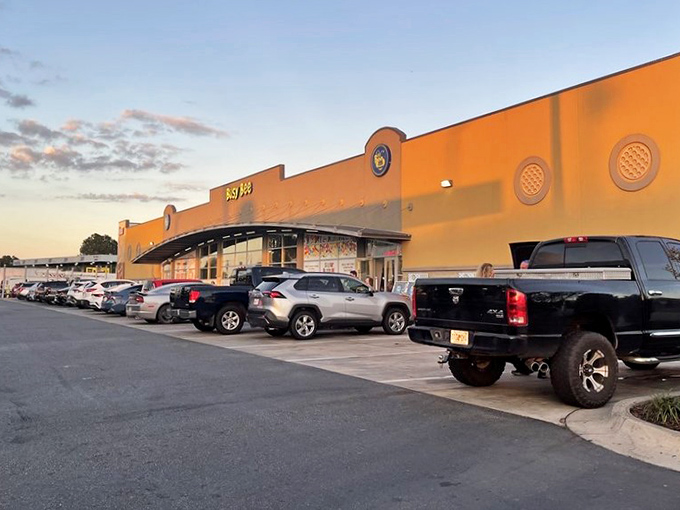 As the sun sets on Busy Bee, the warm glow invites travelers to pull over for what will surely be the most unexpectedly delightful pit stop of their journey.