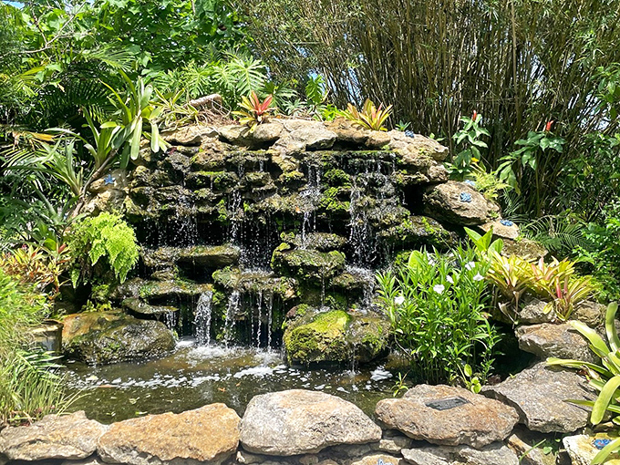 Water cascades over moss-kissed stones, creating nature's soundtrack &ndash; the perfect accompaniment to McKee's visual symphony.