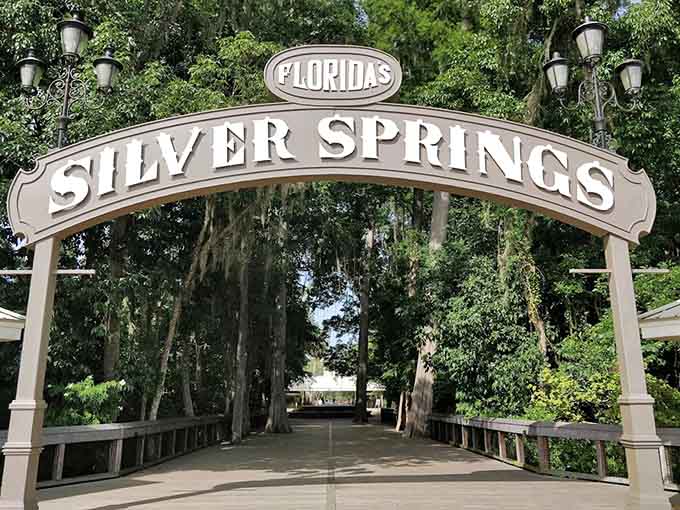 Walking through this entrance arch feels like stepping into a different era, when Florida tourism meant actual nature instead of animatronic mice.