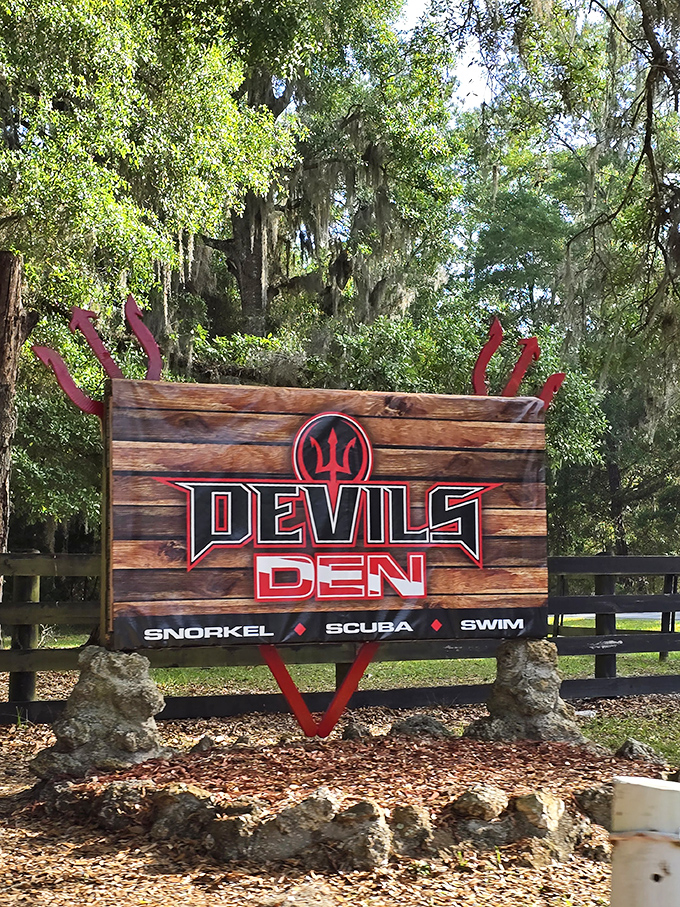 Dive into the adventure! Devil's Den offers great snorkeling, scuba, and swimming in beautiful sunny Florida.