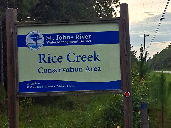 The official entrance sign welcomes visitors to this hidden gem – Florida's version of "You have arrived" before GPS existed.