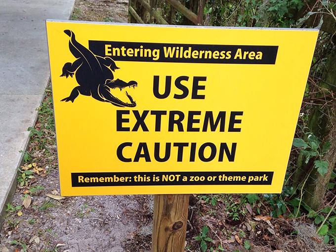 The sign says it all &ndash; this isn't Disney's sanitized version of nature but the real, wild Florida where respect for wildlife isn't optional.