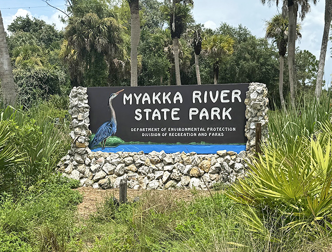 Welcome to paradise: Myakka River State Park's entrance sign promises adventures that no theme park ticket could ever deliver.
