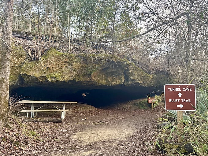 Tunnel Cave entrance beckons adventurers with its mysterious opening, a portal to Florida's fascinating underground world.