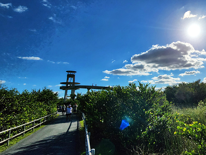 Sunlight bathes the tower and surrounding landscape, creating the kind of scene that makes amateur photographers feel like National Geographic contributors.