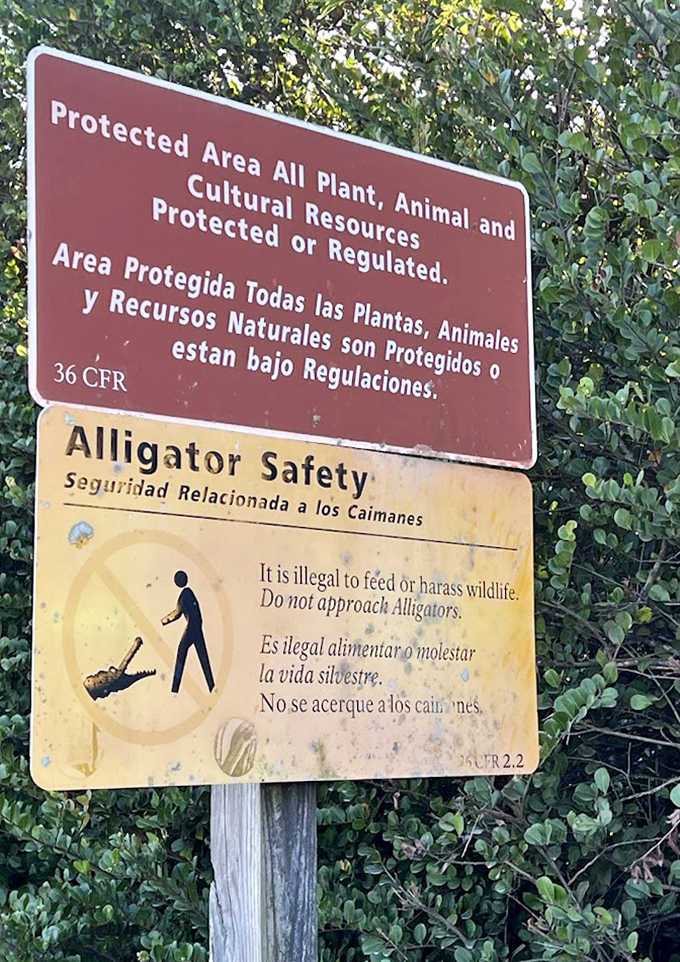 Warning signs remind visitors they're guests in alligator territory &ndash; a necessary caution in this wild Florida wonderland.