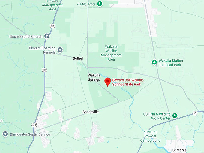 16. edward ball wakulla springs state park