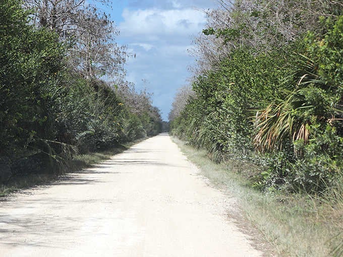 The Florida Everglades: Where 1.5 million acres of wetland wilderness create a paradise for wildlife and adventure seekers alike.