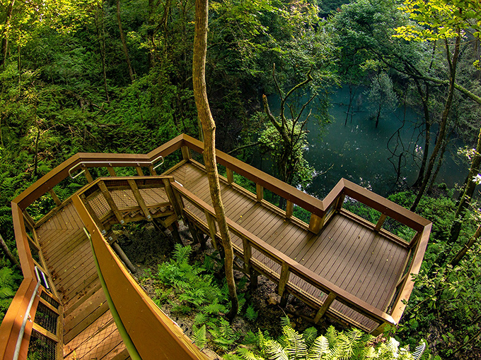 Wooden staircases zigzag down into Devil's Millhopper's massive sinkhole, where a hidden world of ferns and waterfalls awaits explorers brave enough to descend.