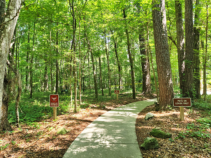 A peaceful pathway winds through the shady forest surrounding Devil's Millhopper, where signs remind visitors to keep their furry friends leashed while exploring this natural wonder.