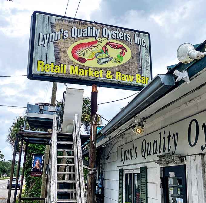 The classic roadside sign for Lynn's Quality Oysters beckons seafood lovers with its simple promise of "Retail Market & Raw Bar" &ndash; a true Florida Panhandle institution.