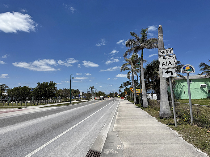 Palm sentinels stand guard along A1A's sun-drenched corridor, welcoming travelers to Florida's coastal paradise.